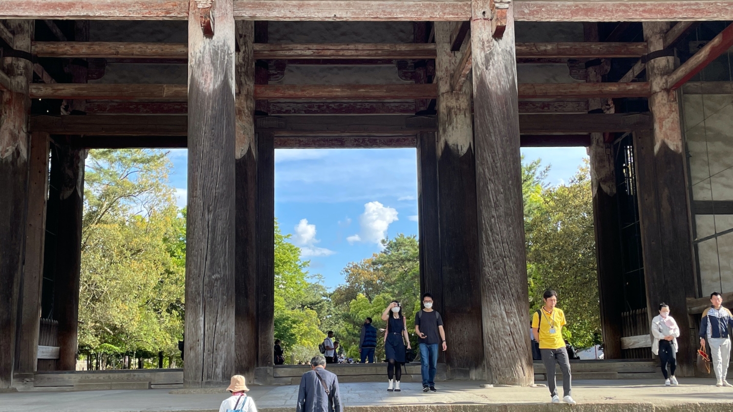 Nara - a story of ancient temples, traditions and .... deer - The ...